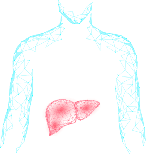 Home - Sagimet Biosciences